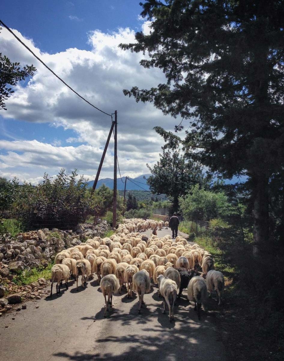 village info | Gavalochori