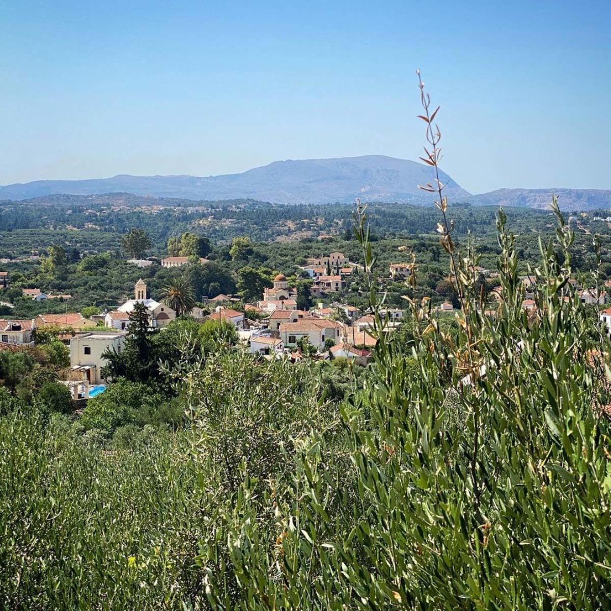 village info | Gavalochori